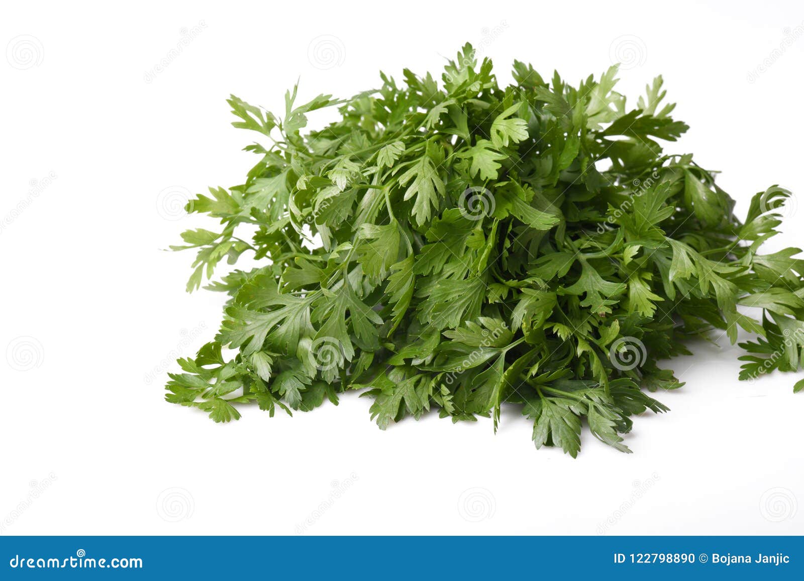 Fresh Parsley Isolated on a White Background Stock Photo - Image of ...