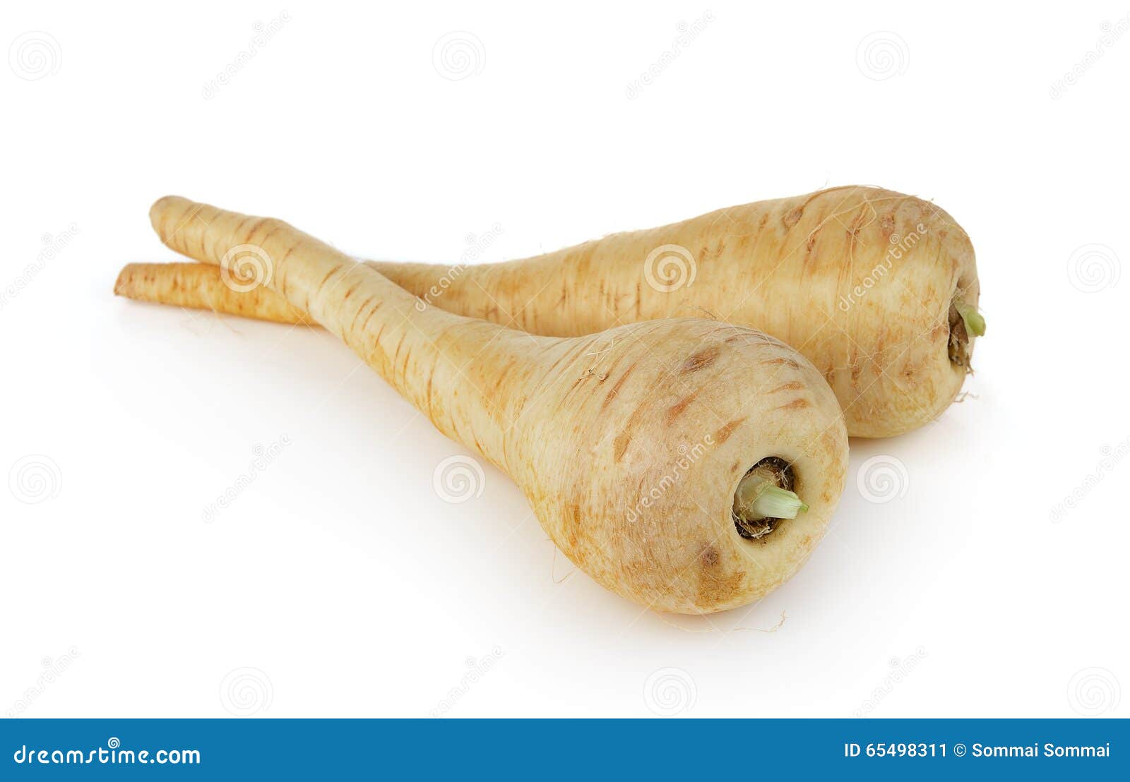 Fresh Parsnip Roots on White Background Stock Image - Image of close ...