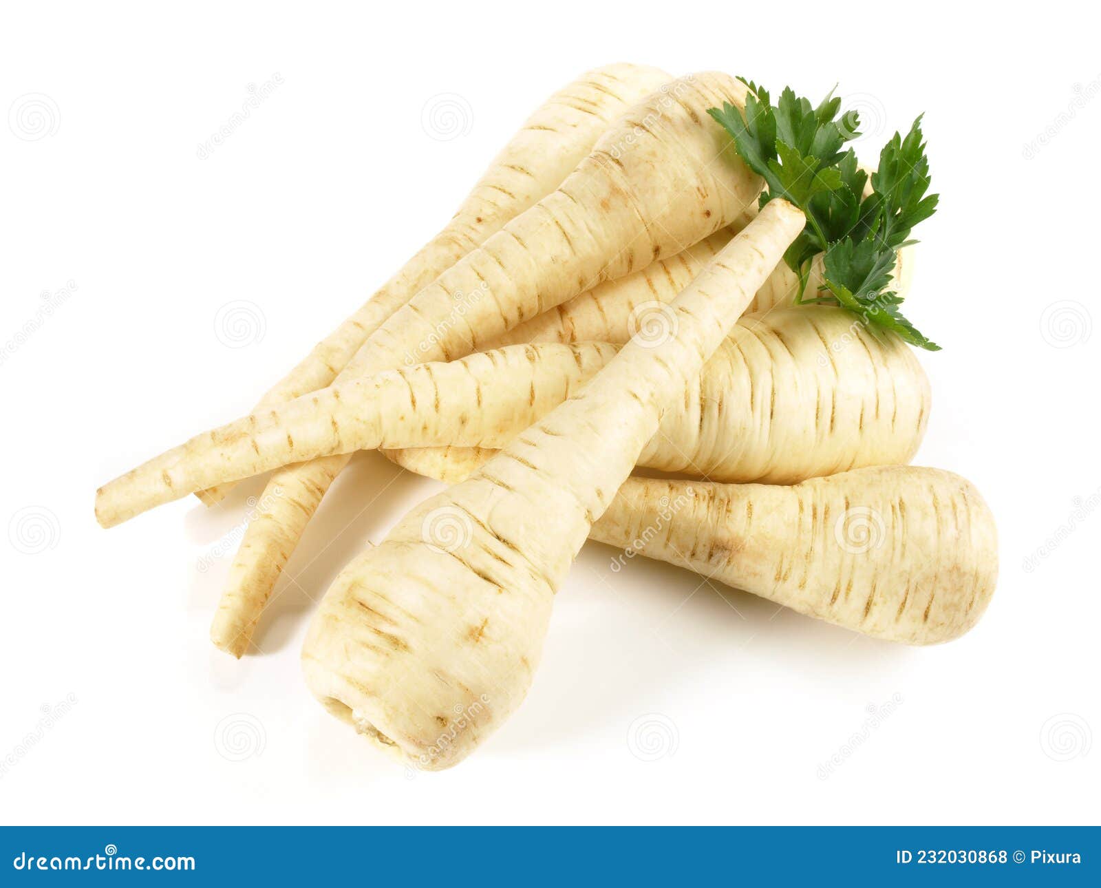 Fresh Parsnips on White Background - Isolated Stock Photo - Image of ...