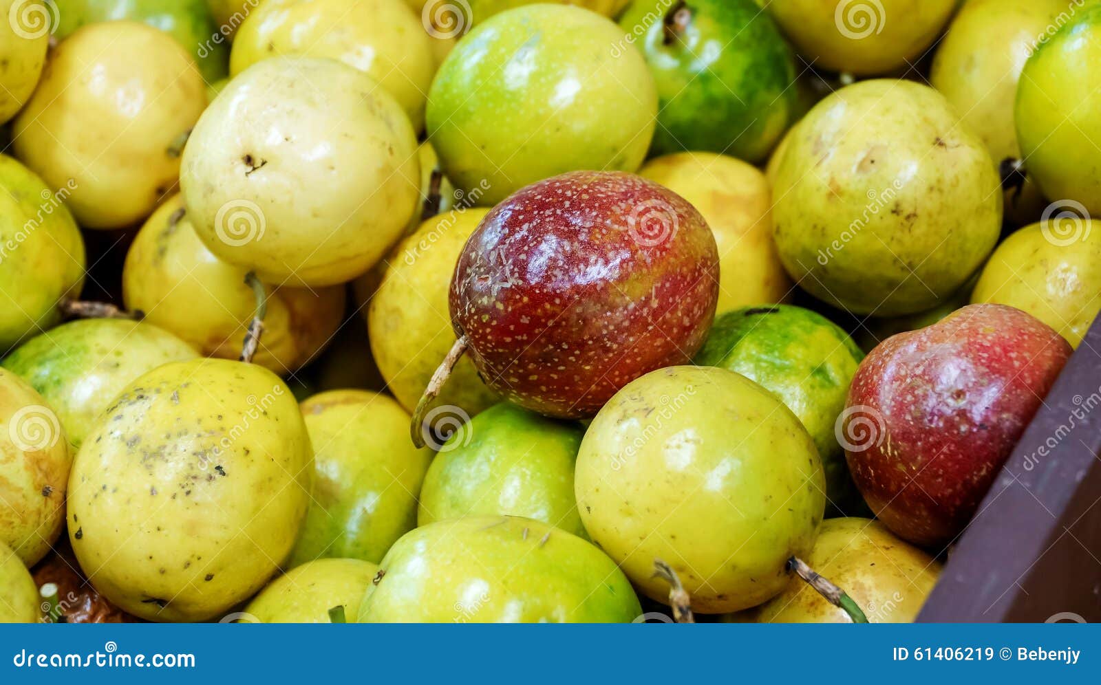 Fresh Passion fruit stock image. Image of diet, purple - 61406219