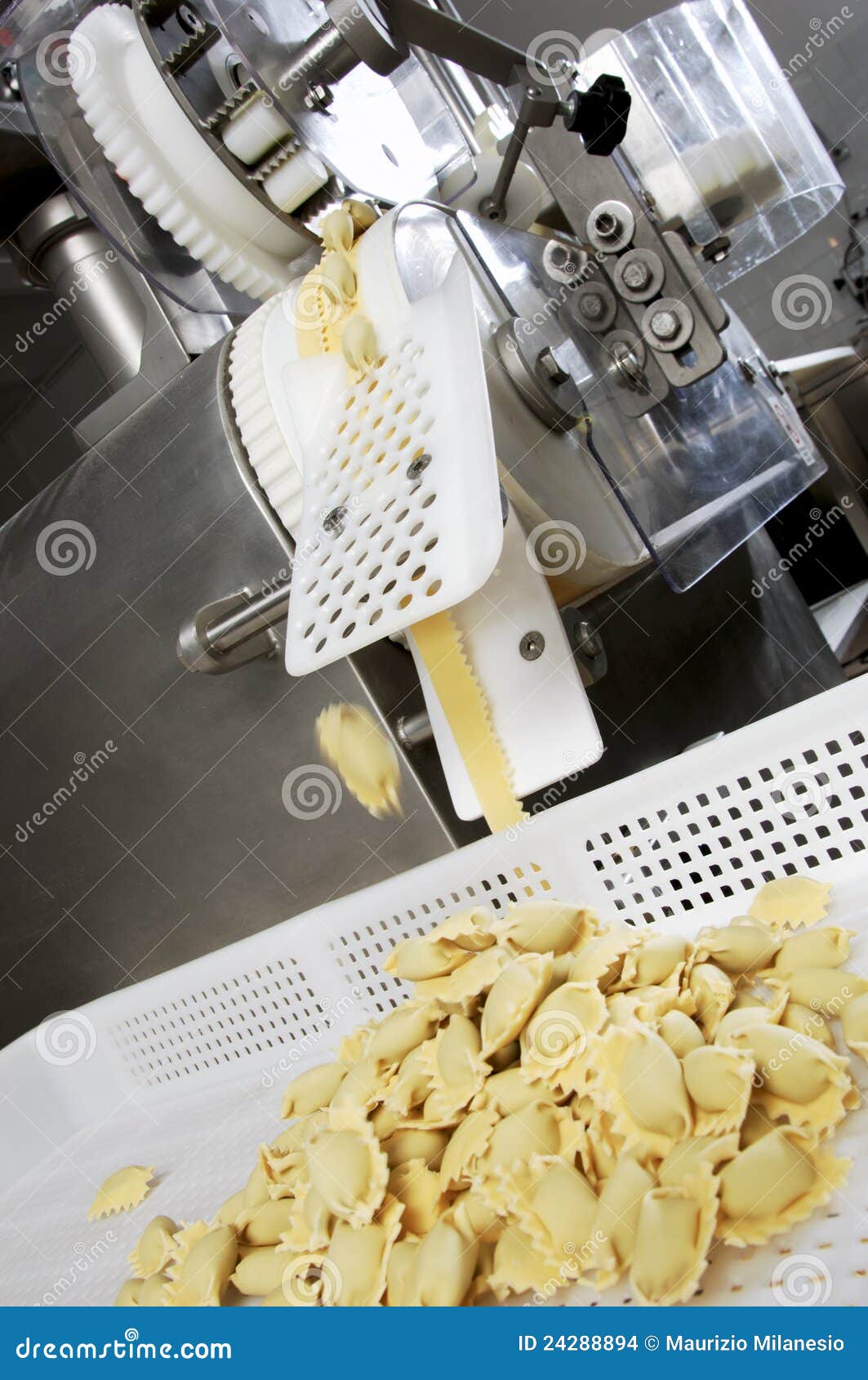 The fresh pasta industry stock photo. Image of lunch - 24288894