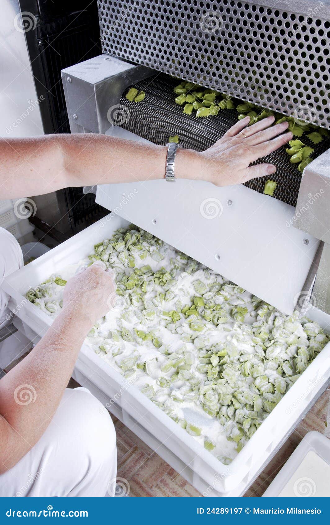 The fresh pasta industry stock image. Image of kitchenware - 24289197