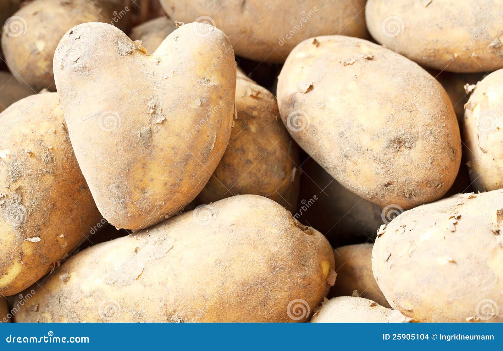 Fresh patatoes stock photo. Image of plant, group, macro - 25905104