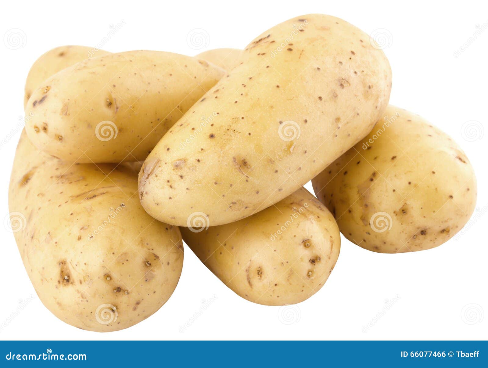 Fresh patatoes stock photo. Image of healthy, nature - 66077466