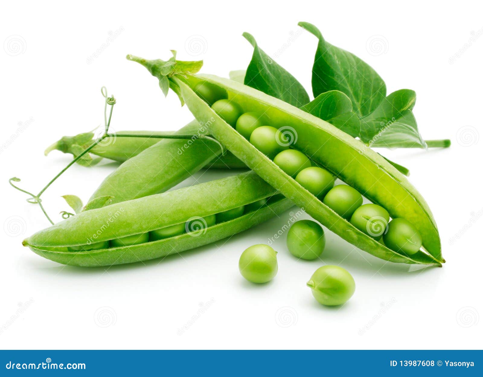 Fresh Pea Fruit with Green Leaf Stock Photo - Image of group, leaf ...
