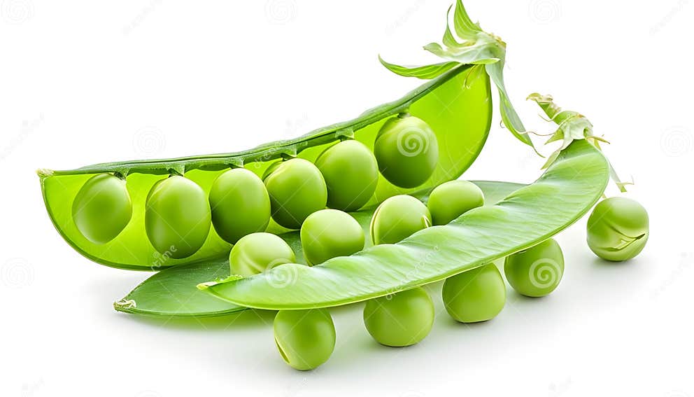 Fresh Pea Fruit with Green Leaf Stock Photo - Image of healthy, peas ...