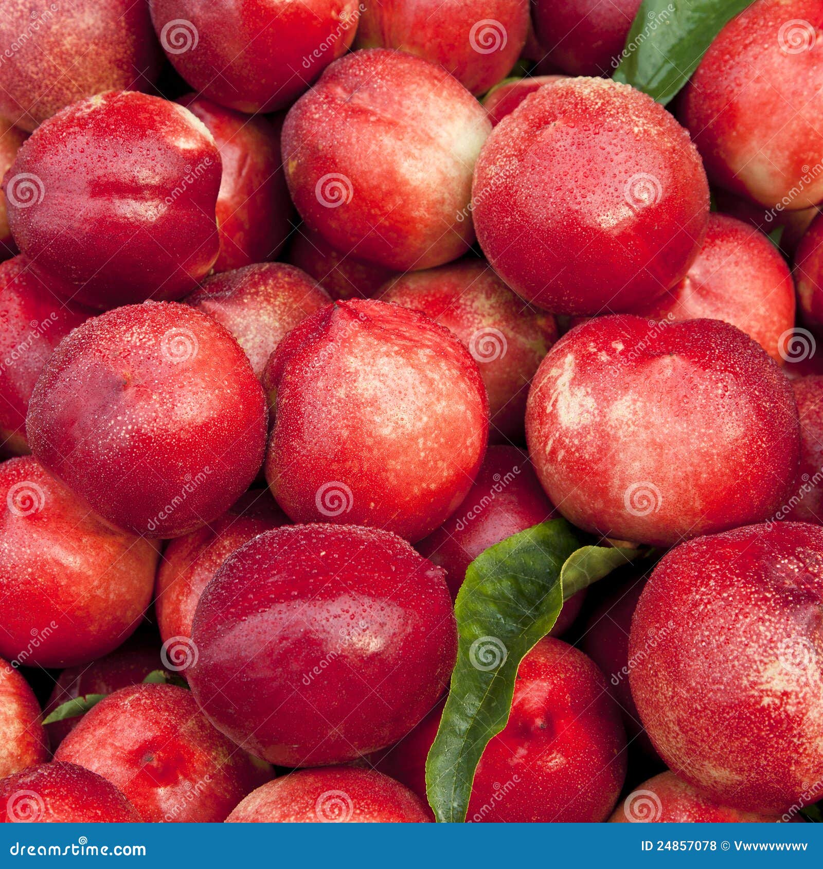 Fresh Peaches stock photo. Image of square, market, trading - 24857078