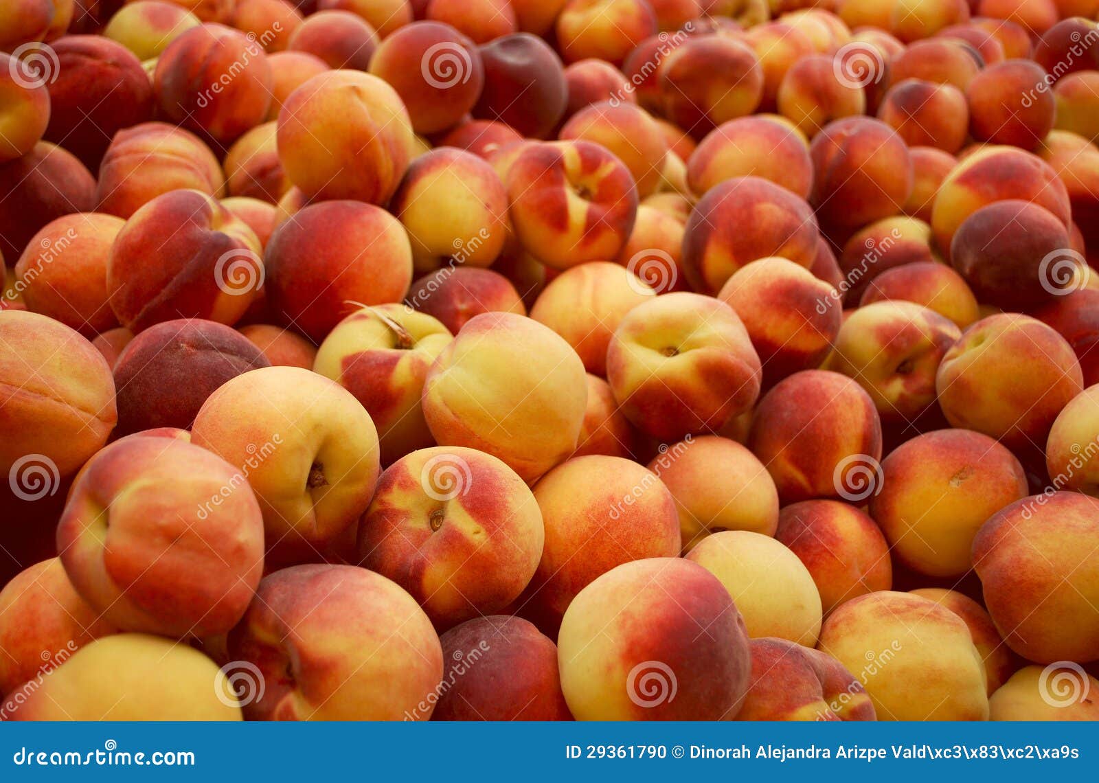 Fresh peaches stock photo. Image of displayed, fresh - 29361790