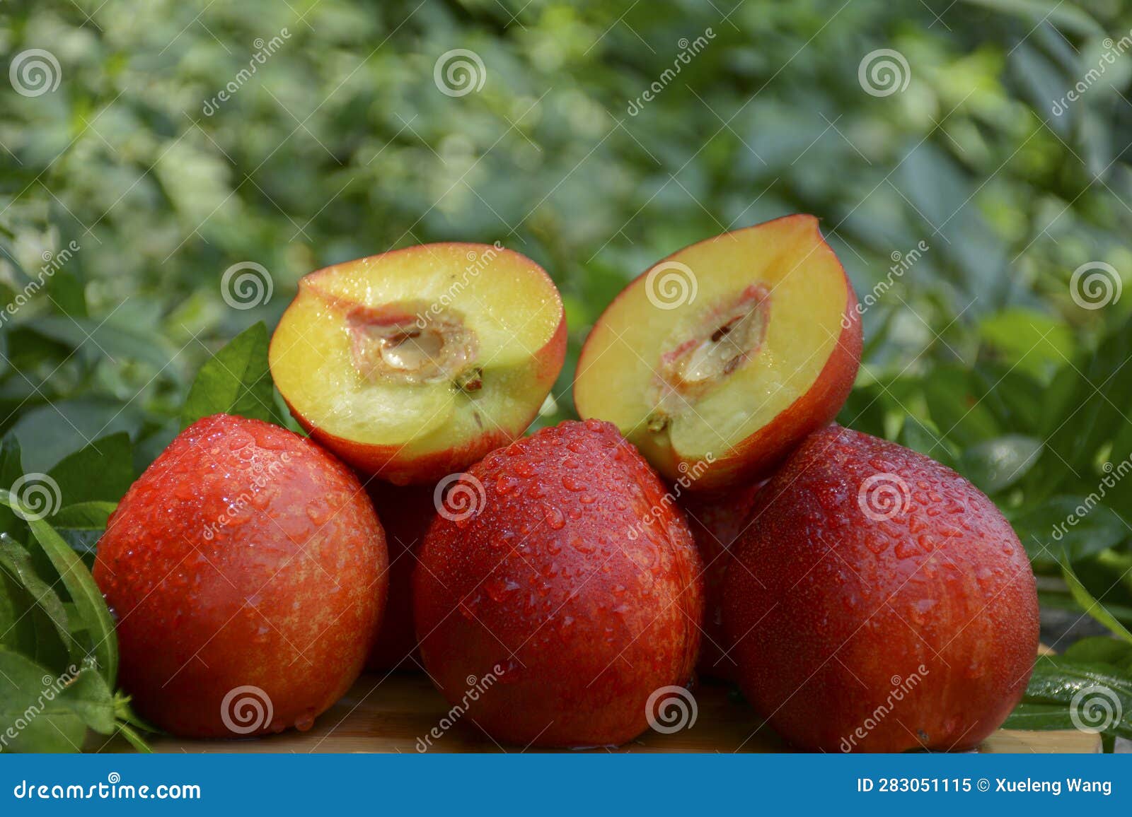 Fresh Peaches Outside with Leaves As the Background. Stock Image ...