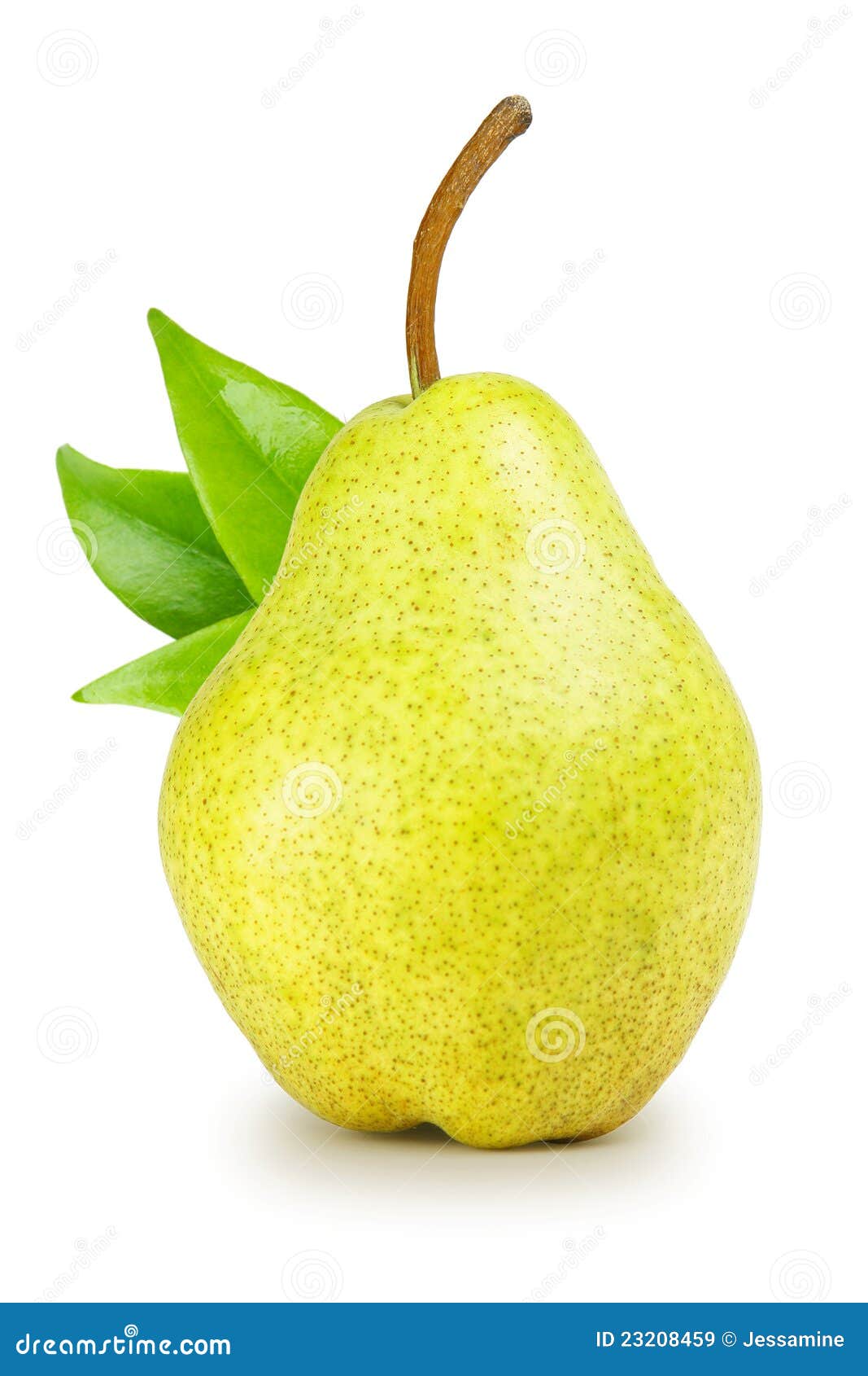 Fresh pear stock image. Image of path, pear, vitamin - 23208459