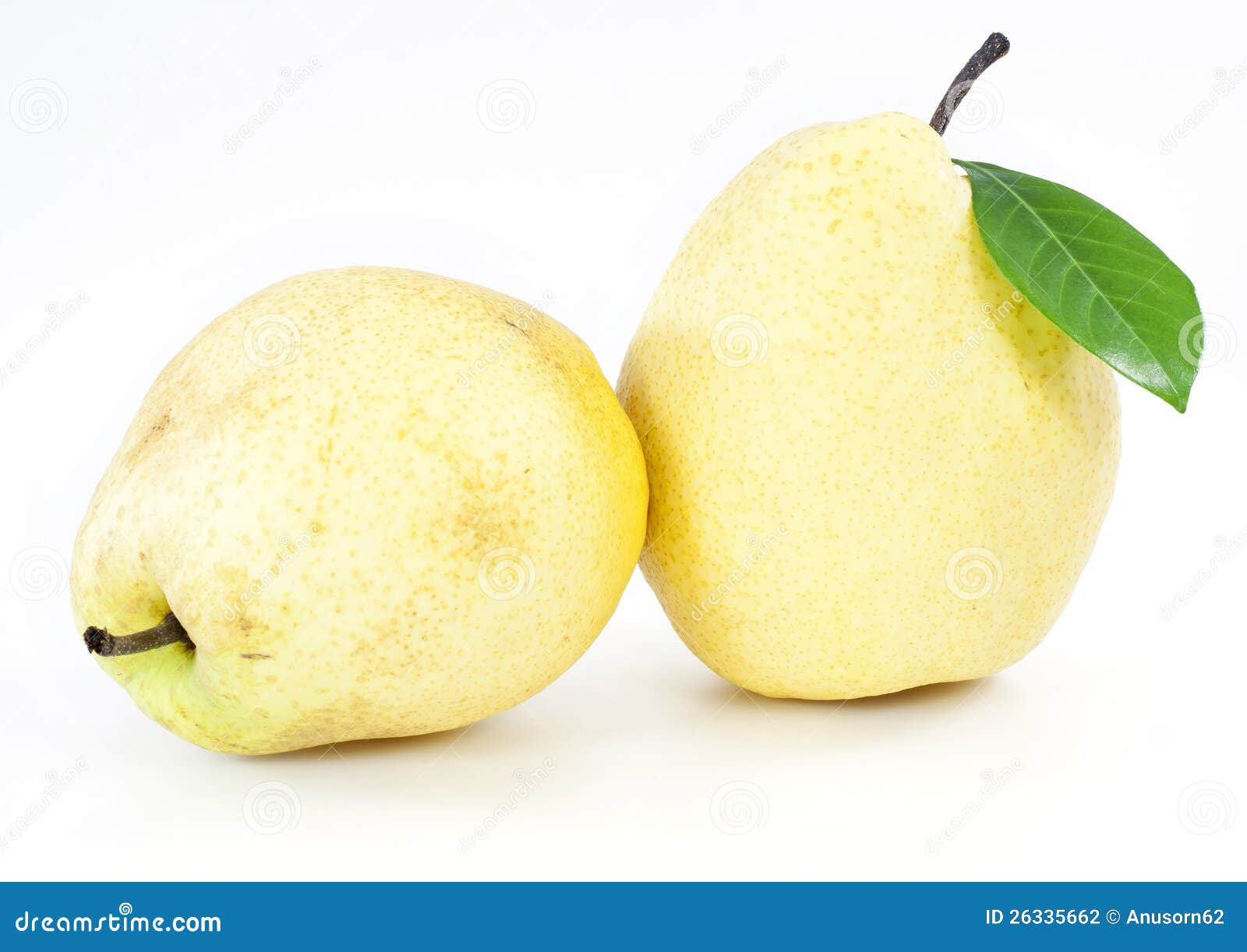 Fresh pear fruits stock photo. Image of yellow, healthy - 26335662