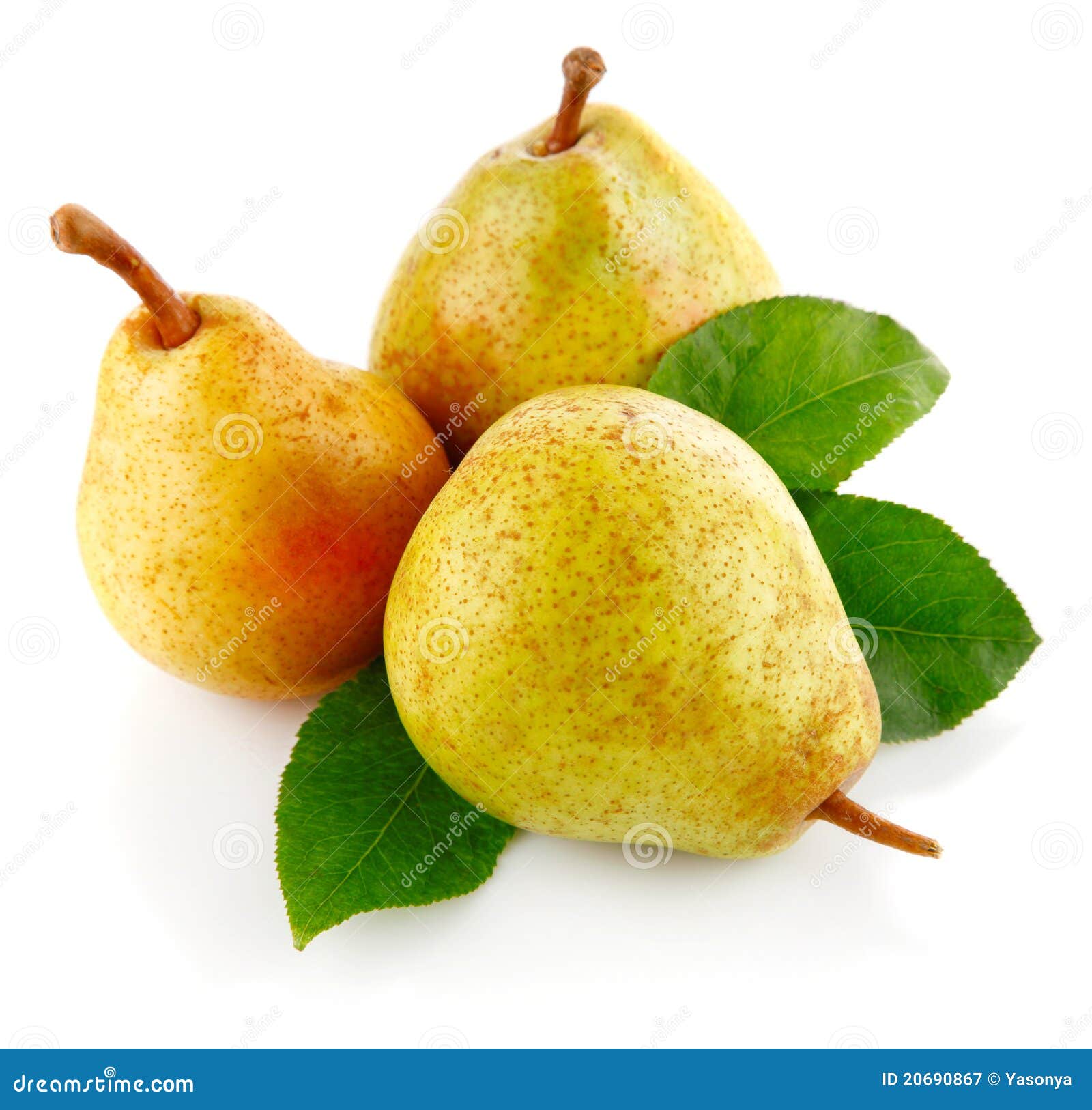 Fresh Pear Fruits with Green Leaves Stock Image - Image of pear, white ...