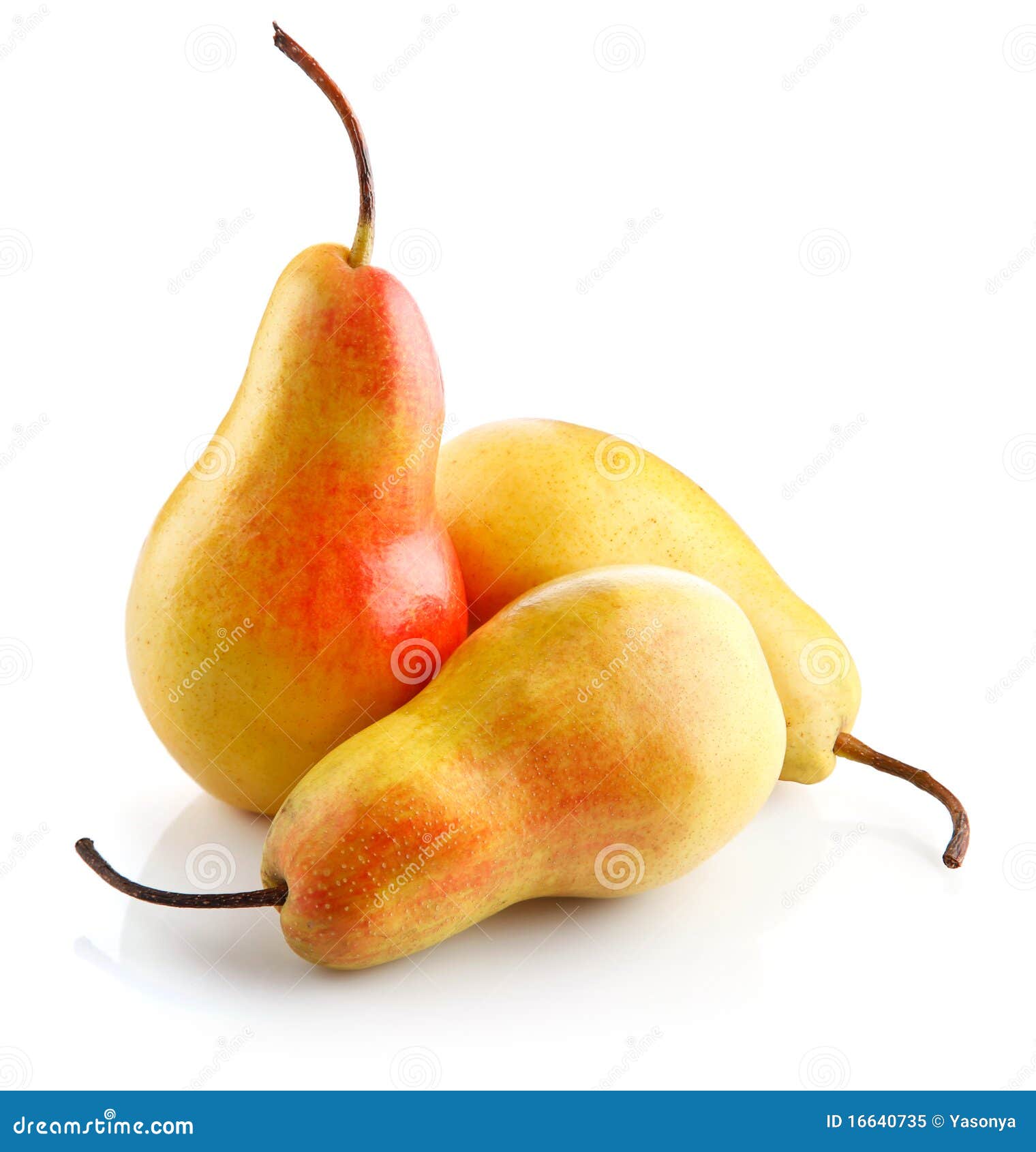 Fresh pear fruits isolated stock image. Image of eating - 16640735