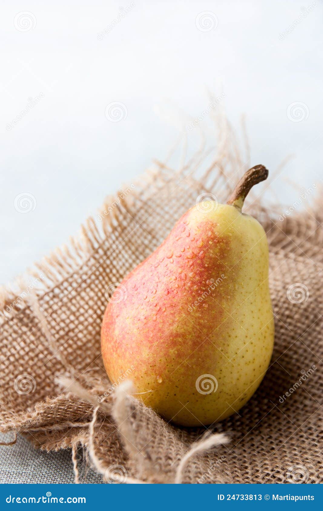 Fresh pear warm colors stock image. Image of pear, organic - 24733813