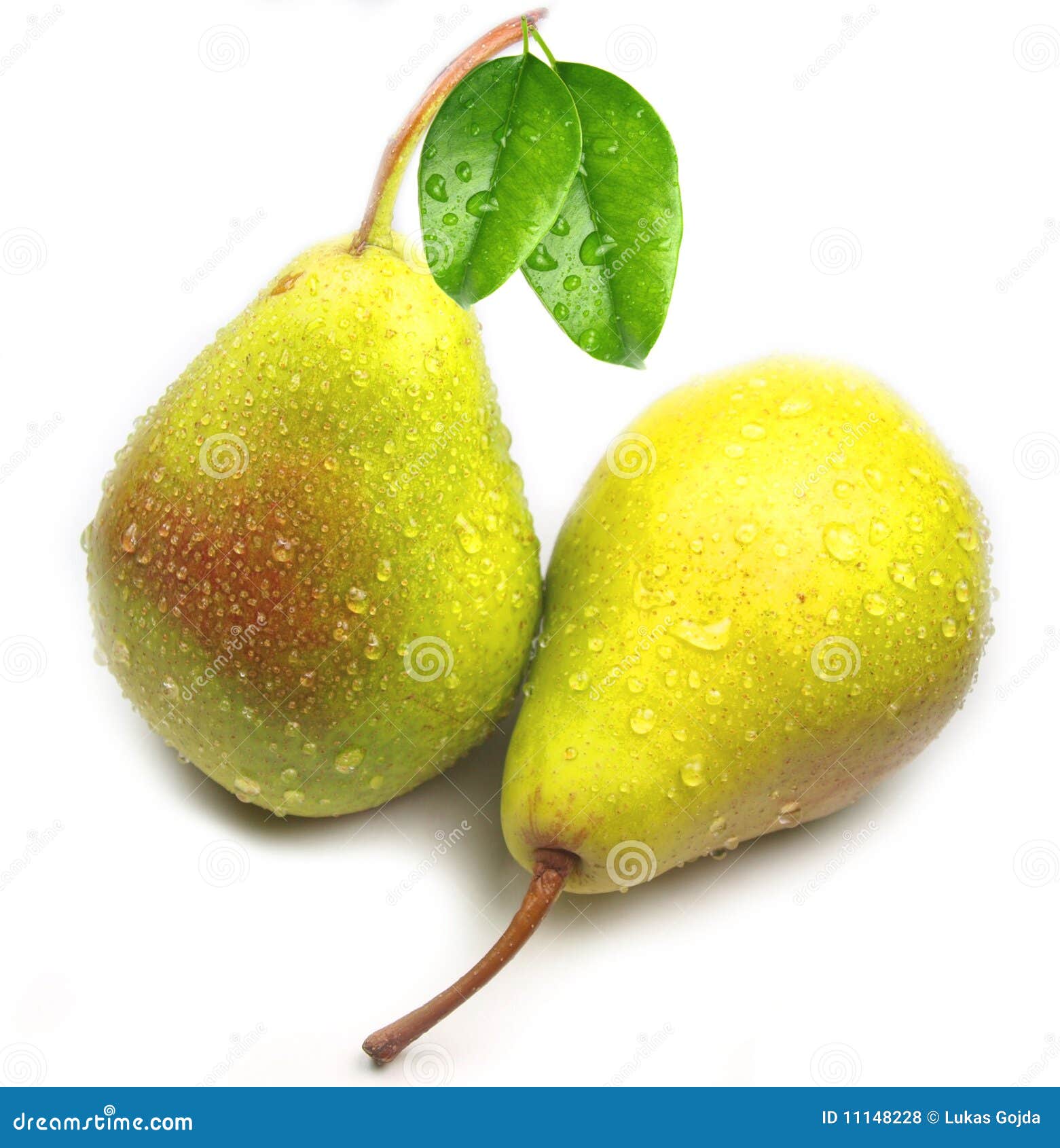 Fresh pears stock photo. Image of white, vivid, food - 11148228