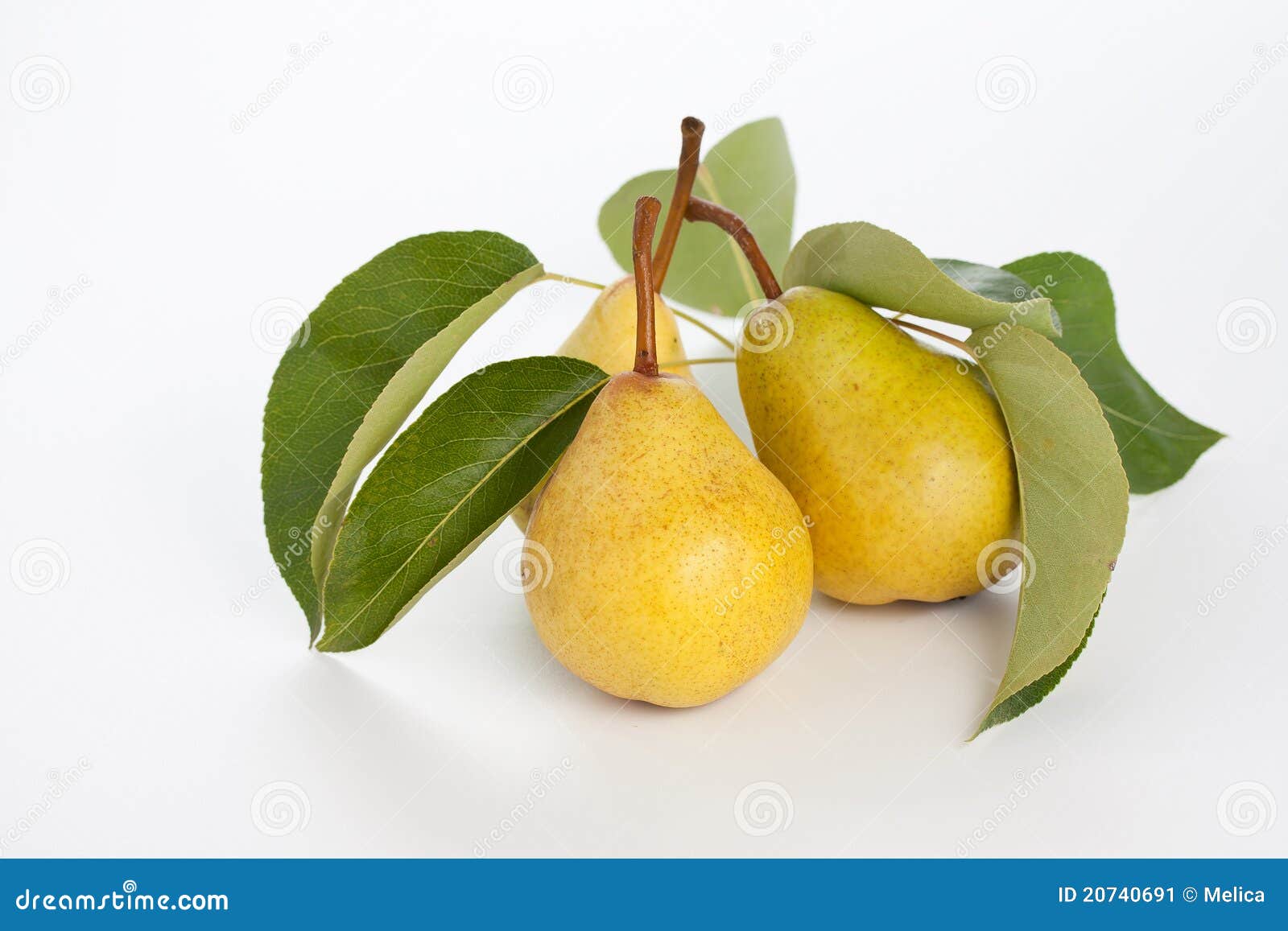 Fresh pears stock image. Image of juicy, group, ingredients - 20740691