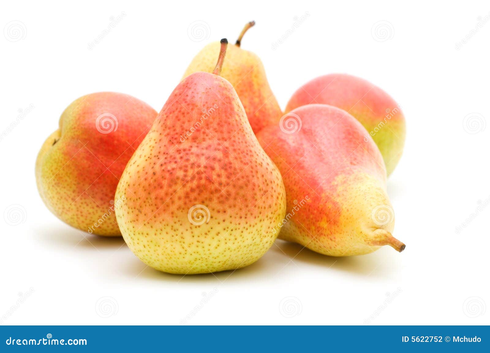 Fresh pears stock photo. Image of color, healthy, snack - 5622752