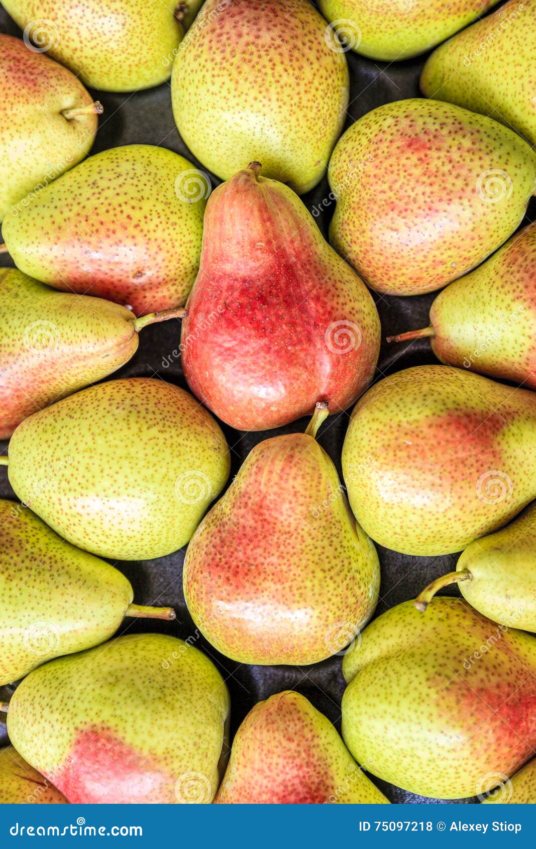 Fresh pears stock photo. Image of vegetarian, groceries - 75097218