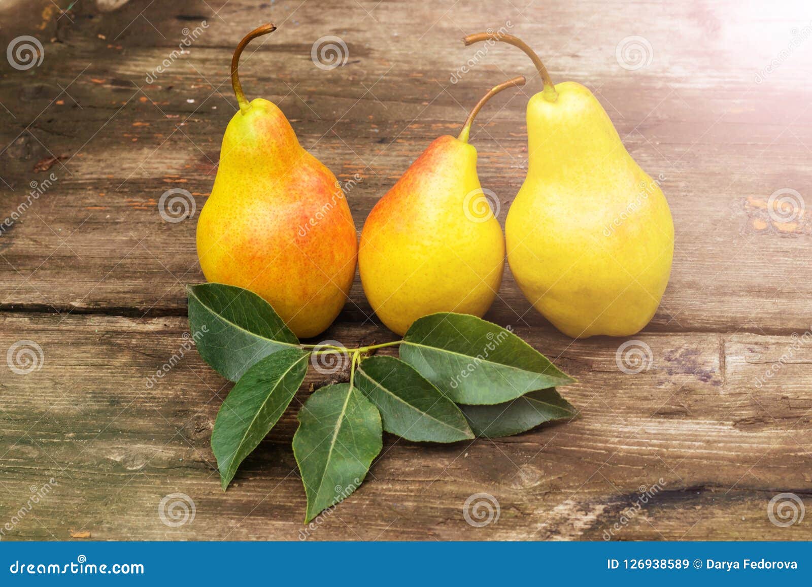 Fresh Pears with Leaves on the Dark Rustic Wooden Table Stock Image ...