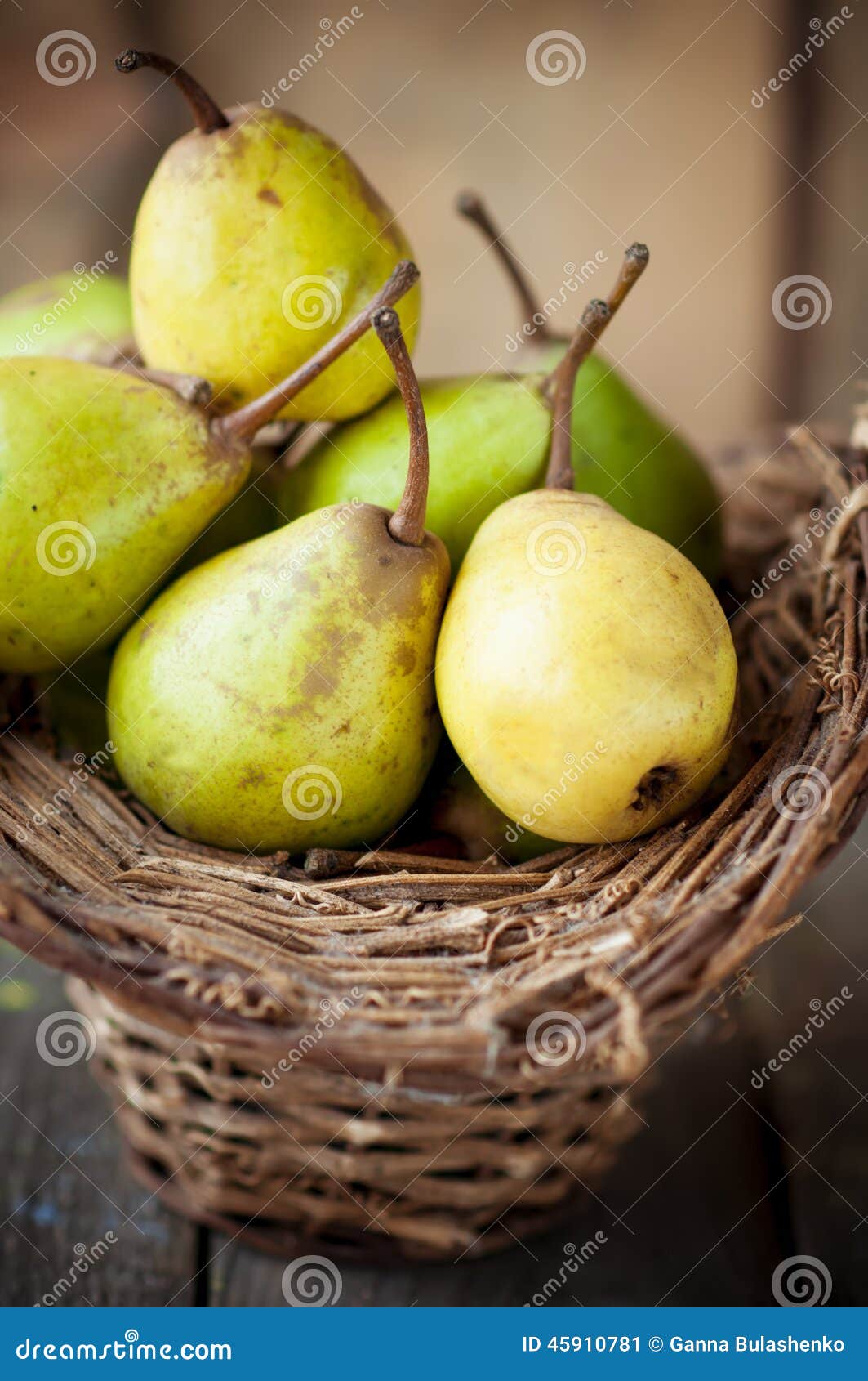 Fresh pears stock image. Image of farm, pears, nature - 45910781