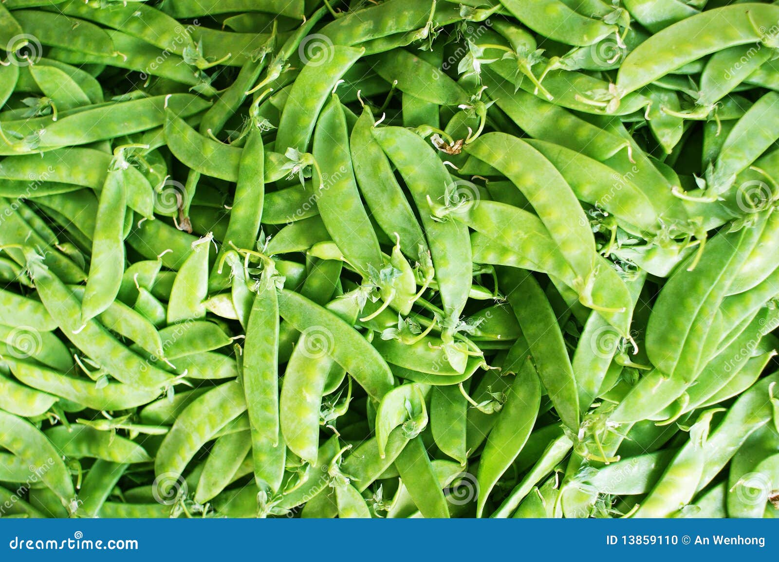Fresh peas stock photo. Image of peas, vegetables, marketing - 13859110