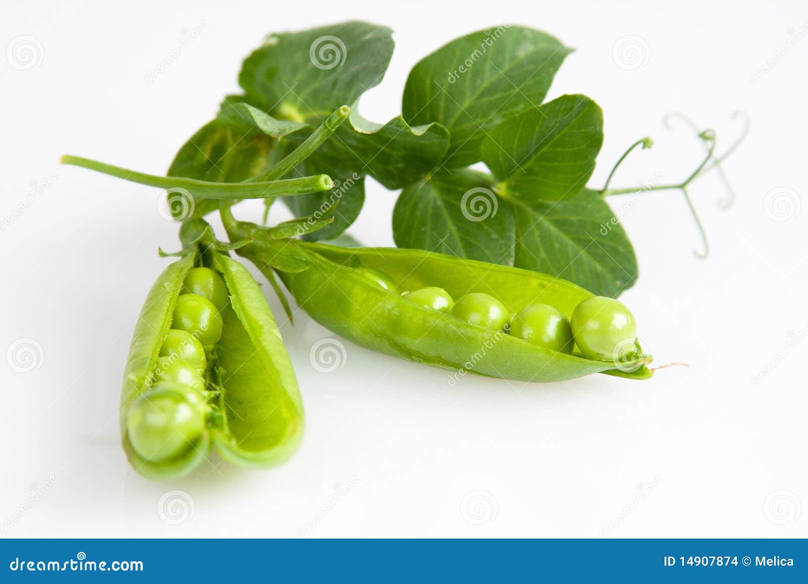 Fresh Peas stock photo. Image of fresh, market, closeup - 14907874