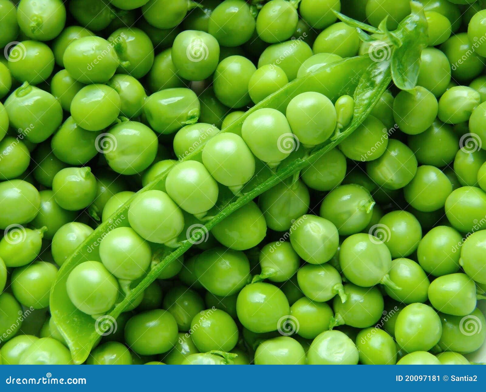 Fresh peas stock image. Image of food, crop, fresh, grains - 20097181