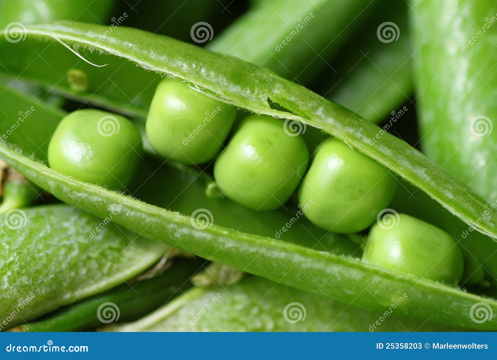 Fresh peas stock image. Image of agriculture, vegetable - 25358203