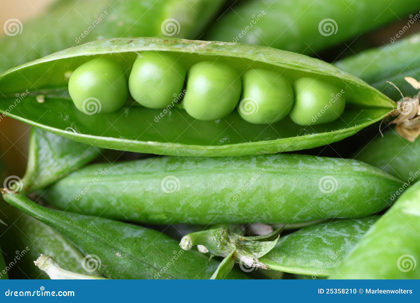 Fresh peas stock photo. Image of ingredient, green, legume - 25358210