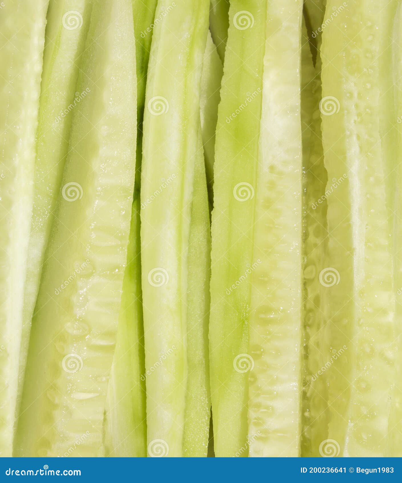 Fresh Peeled Cucumbers.Background of Fresh Cucumbers without Skin ...