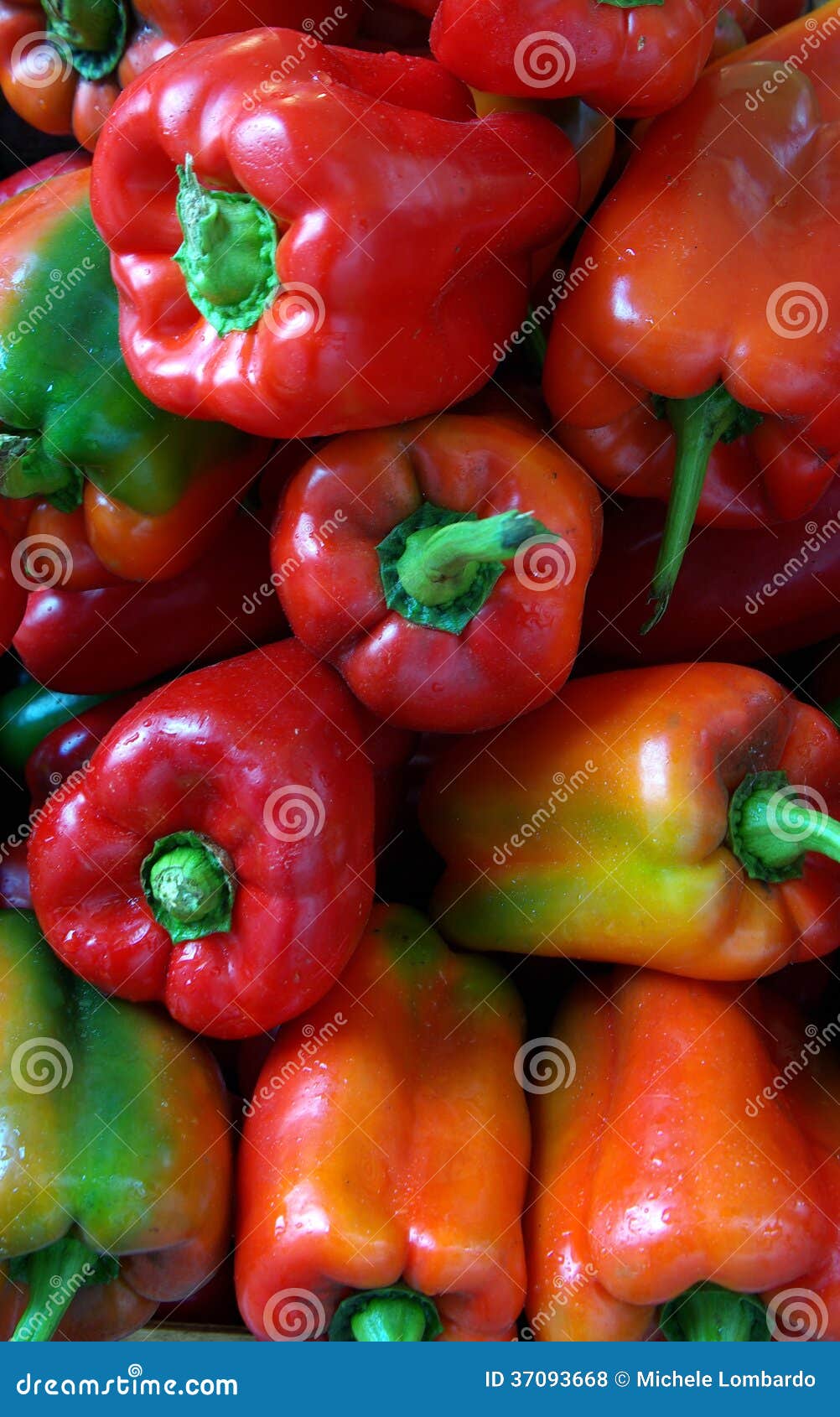 Fresh pepperoni stock photo. Image of agriculture, market - 37093668