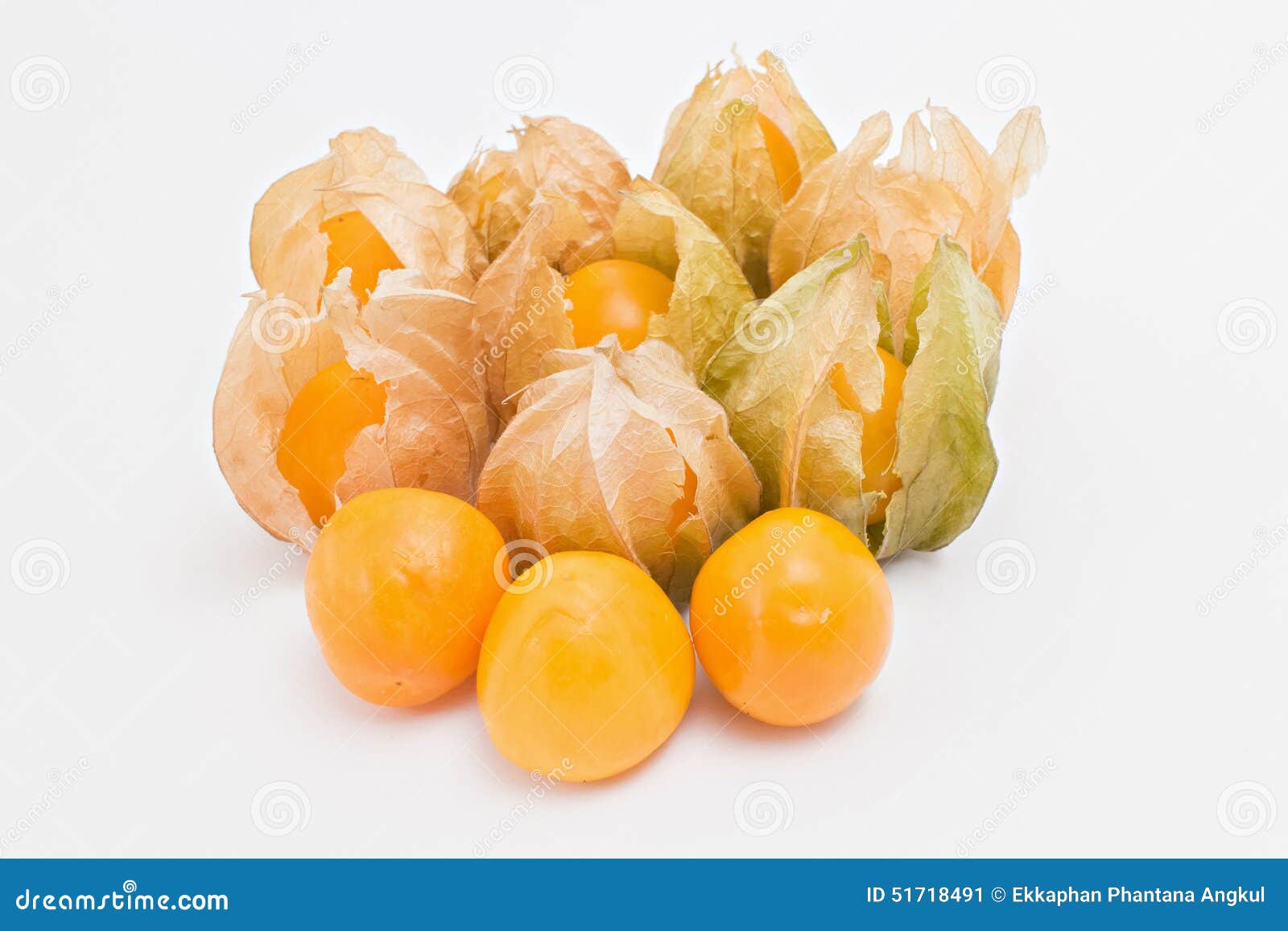 Fresh physalis fruit stock image. Image of exotic, ground - 51718491
