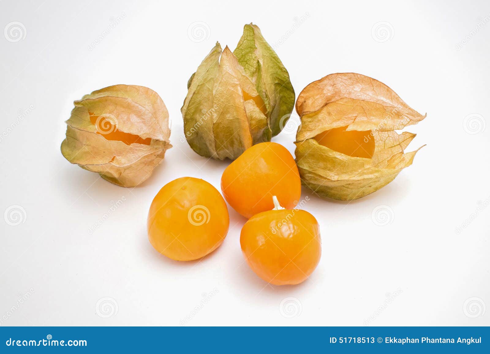 Fresh physalis fruit stock image. Image of isolated, fresh - 51718513