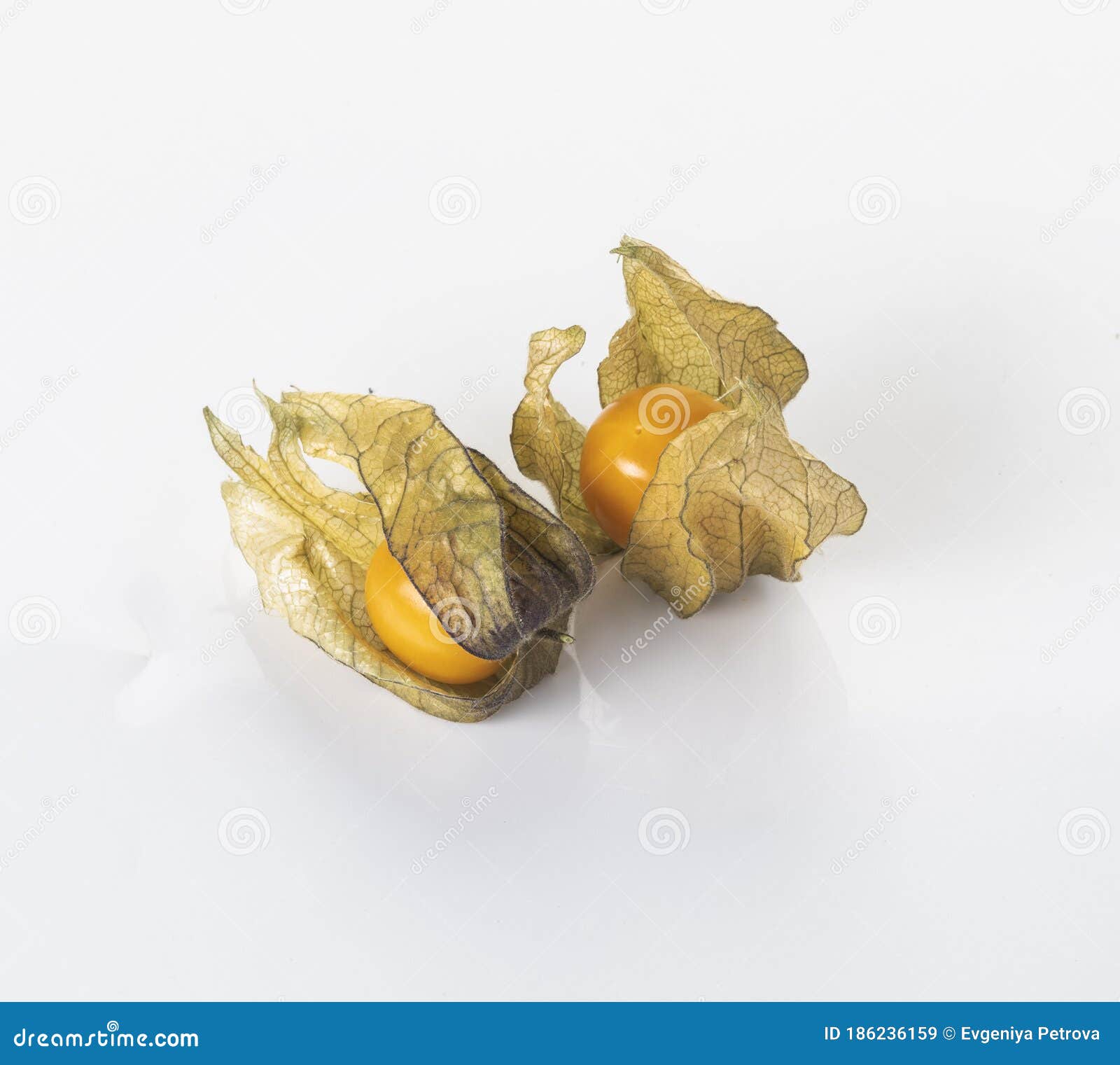 Fresh Physalis Fruit Isolated on a White Background Stock Image - Image ...
