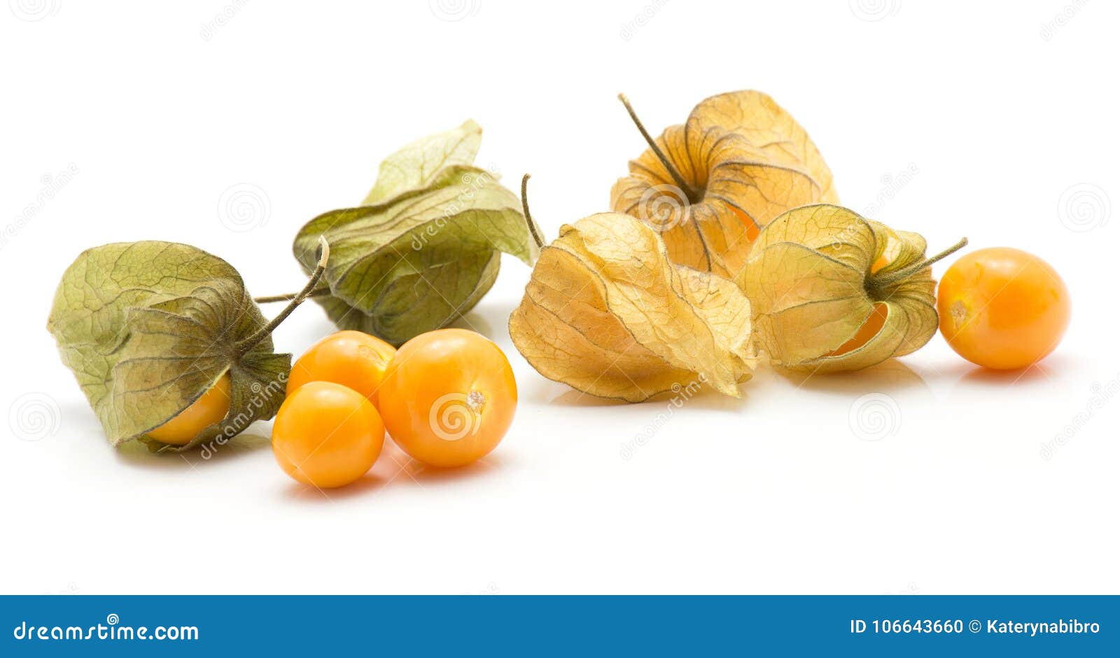 Fresh physalis isolated stock photo. Image of peruviana - 106643660