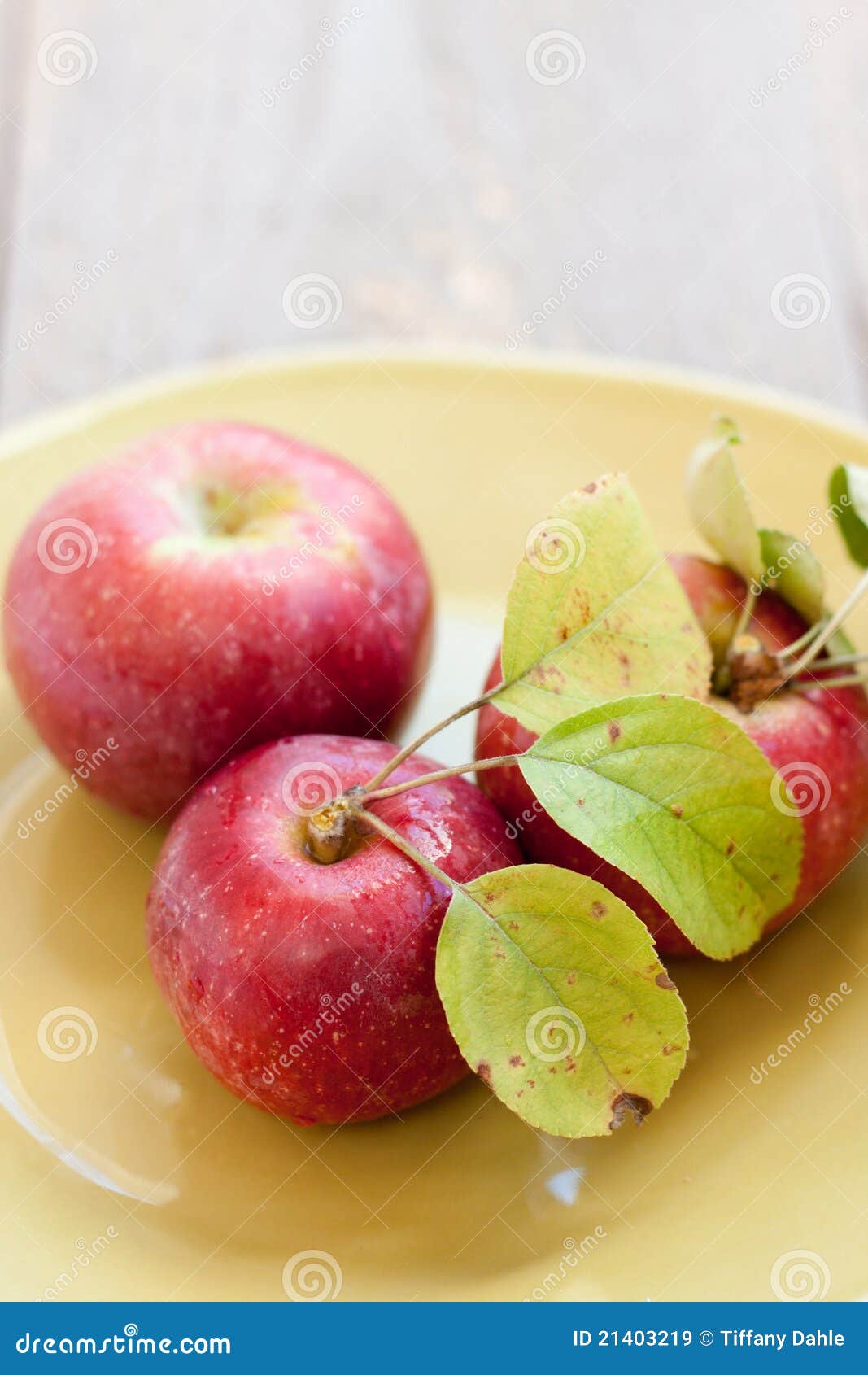 Fresh Picked Apples on a Plate Stock Image - Image of farm, round: 21403219