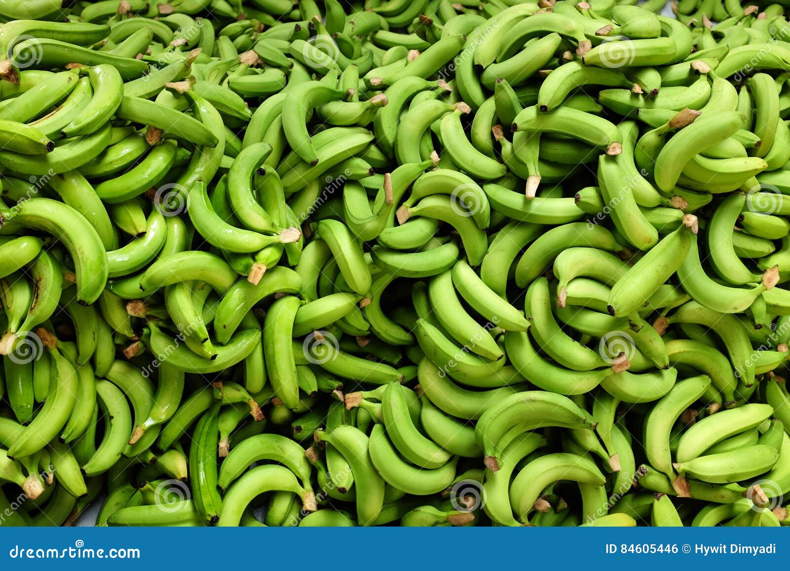 Fresh picked bananas pile stock photo. Image of picked - 84605446