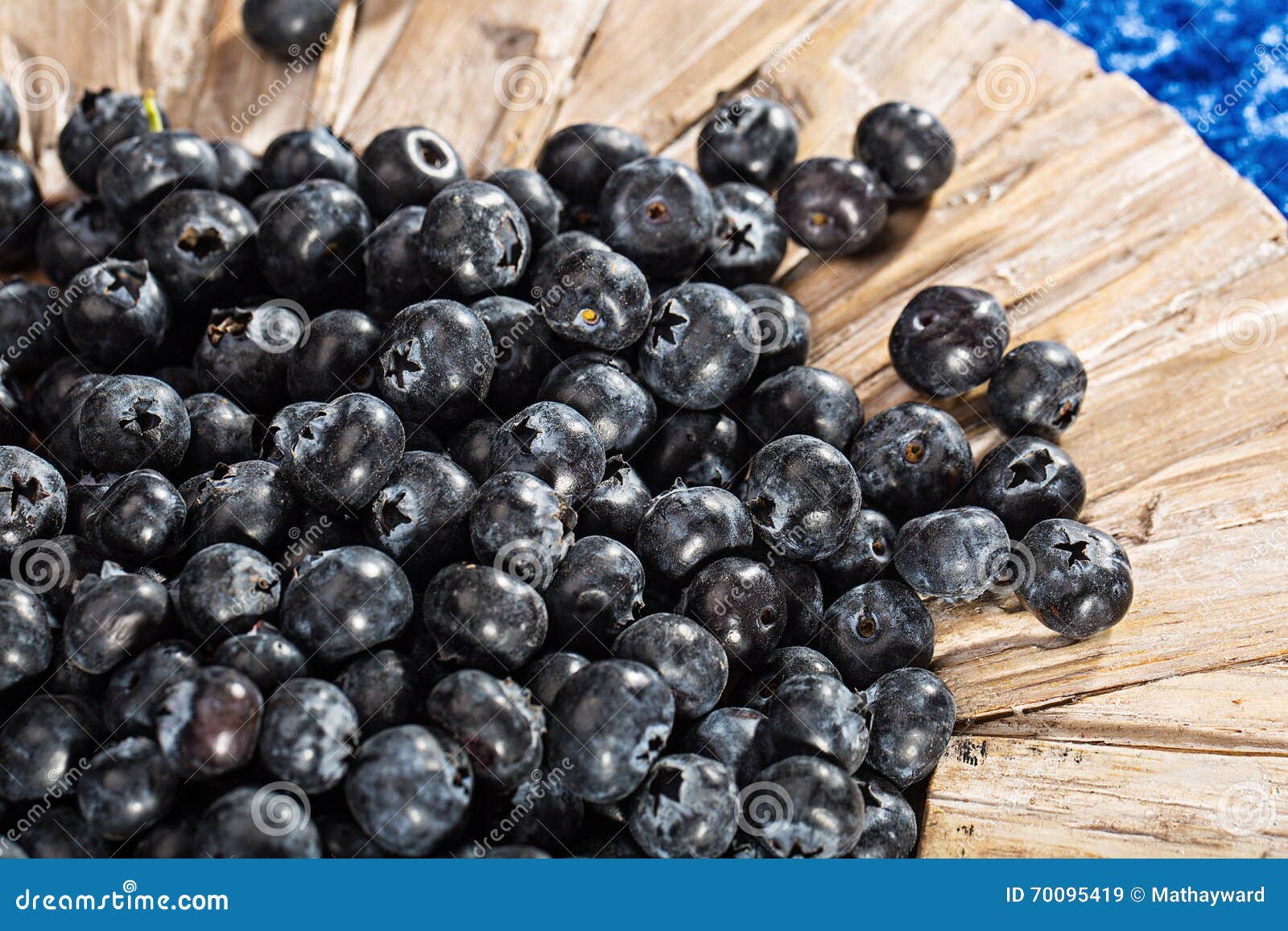 Fresh picked blueberries stock image. Image of berry - 70095419