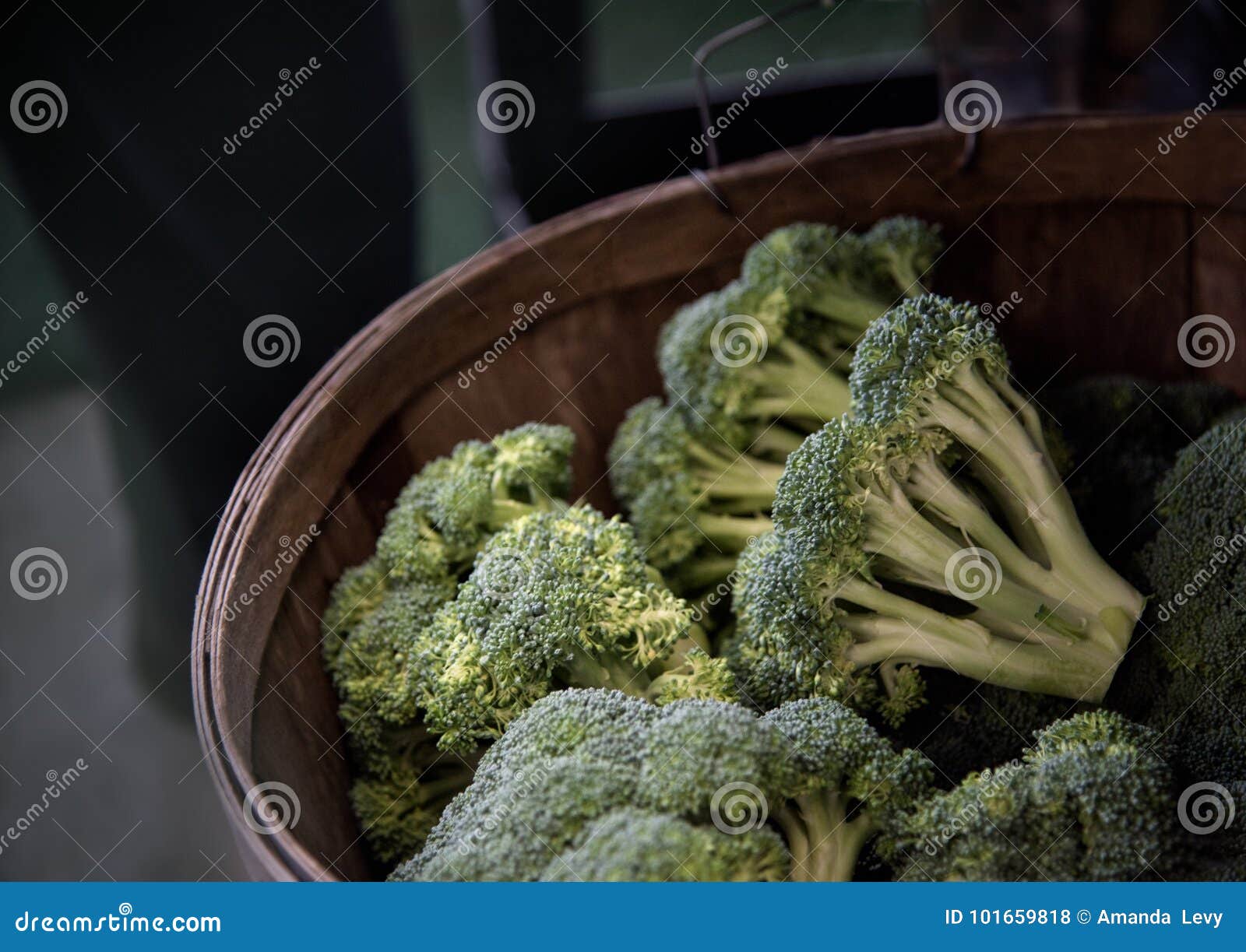 Fresh Picked Broccoli in a Basket Stock Photo - Image of grow, outdoor ...