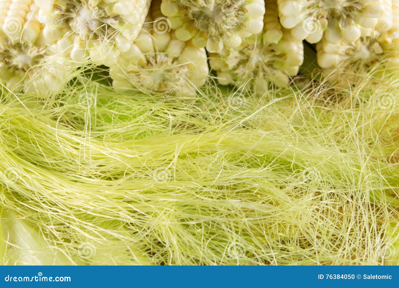 Fresh Picked Corn Cobs on Straw Stock Photo - Image of shell, organic ...