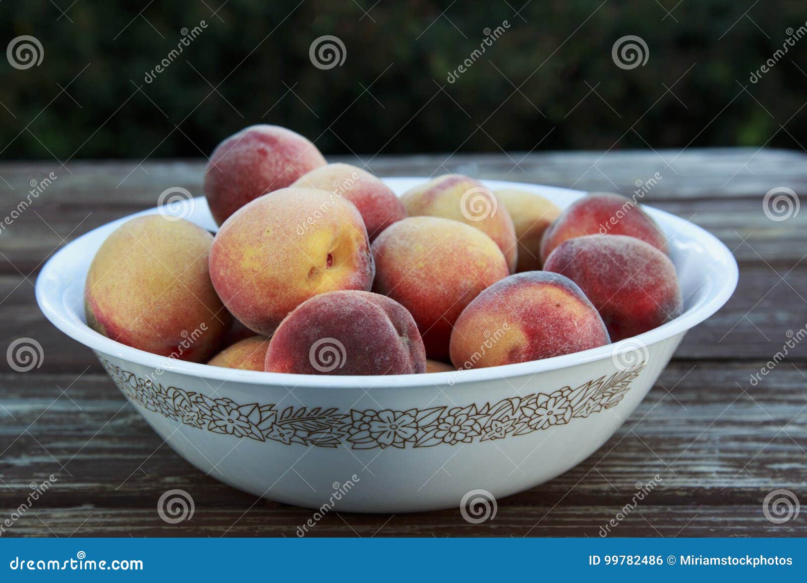 Fresh Picked Fuzzy Peaches Gathered on a Table Stock Photo - Image of ...