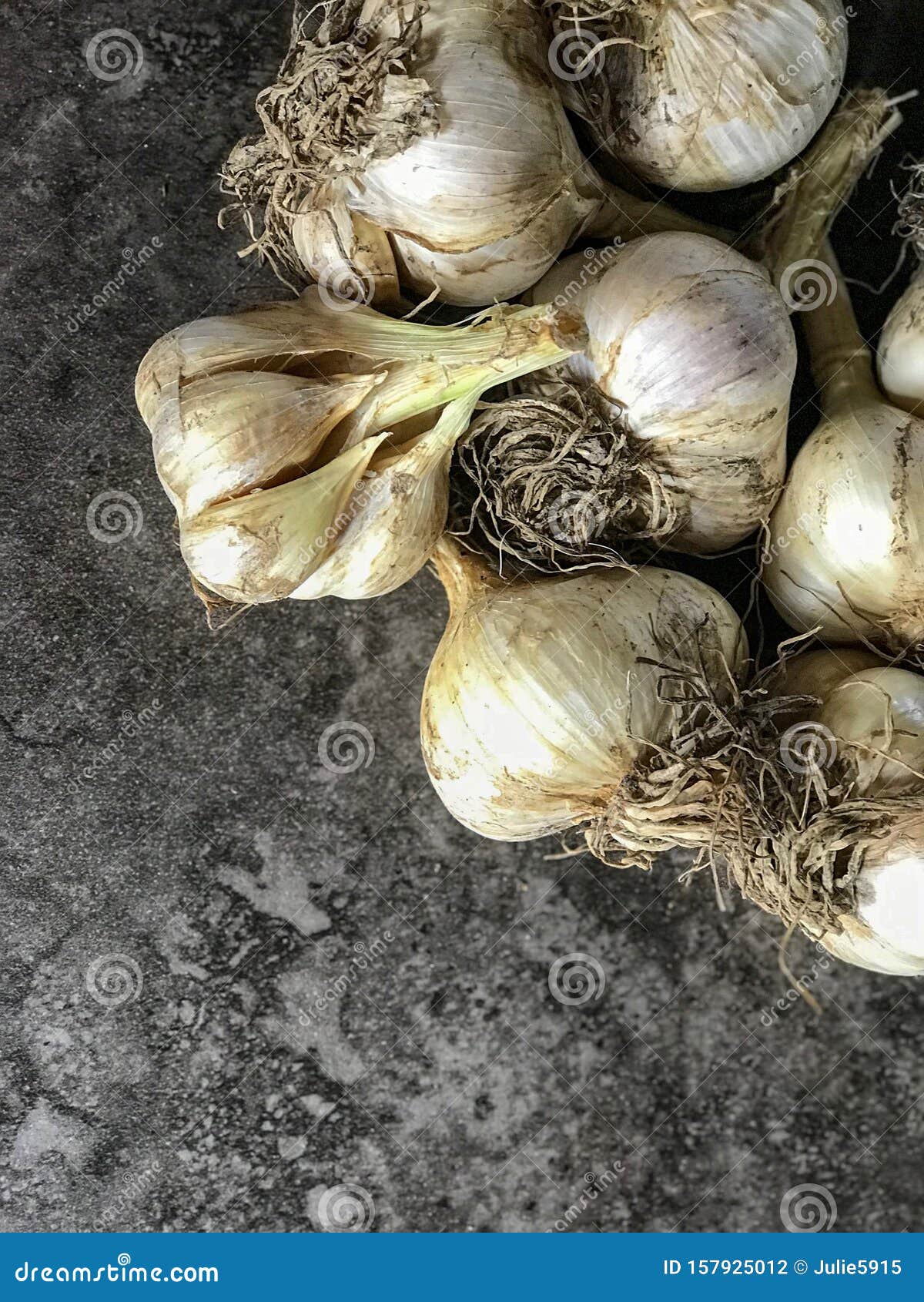 Cluster of Garlic Bulbs on Table with Copy Space Stock Photo - Image of ...