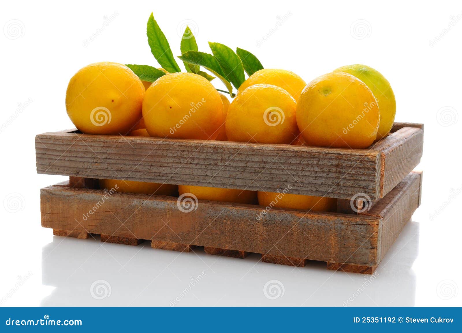 Fresh Picked Lemons in Crate Stock Photo - Image of yellow, farming ...