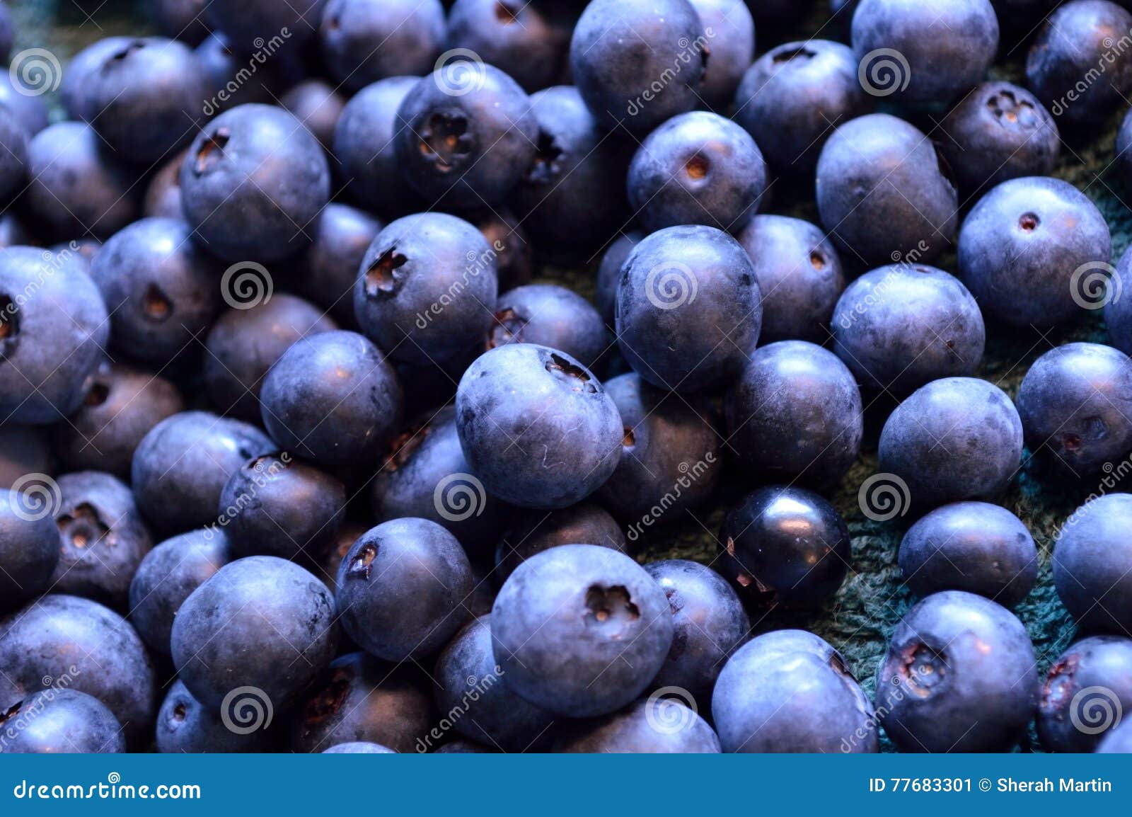 Fresh Picked Organic Blueberries Stock Image - Image of ripe, berries ...