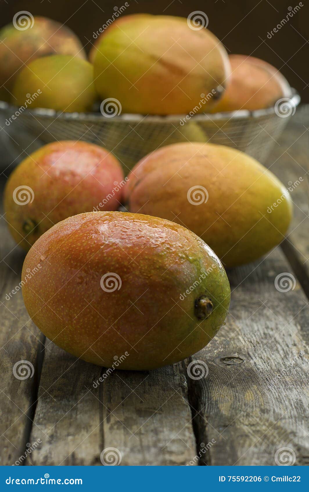 Fresh Picked Organic Mangeos Stock Photo - Image of natural, citrus ...