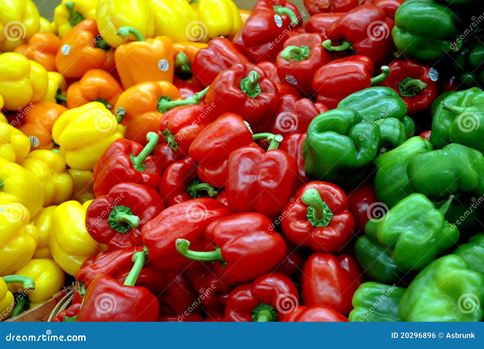 Fresh picked peppers stock photo. Image of food, harvest - 20296896