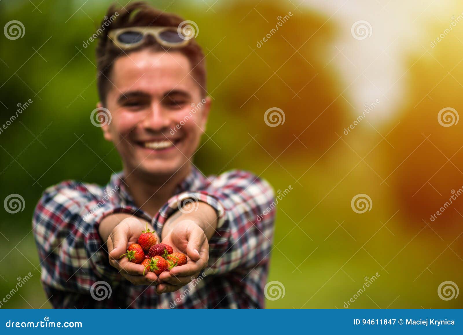 Fresh Picked Real Life Strawberries Stock Image - Image of closeup ...