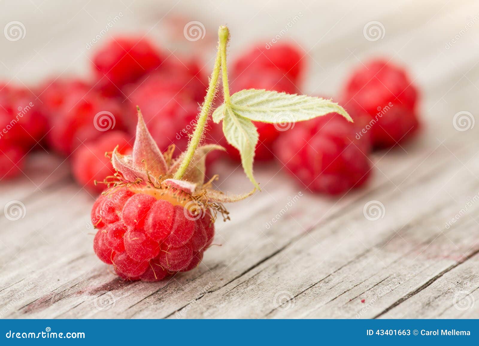 Fresh Picked Red Raspberries on Wood Table Stock Image - Image of ...