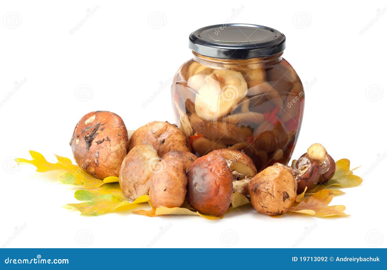 Fresh and Pickled Mushrooms Stock Photo - Image of canned, pickled ...