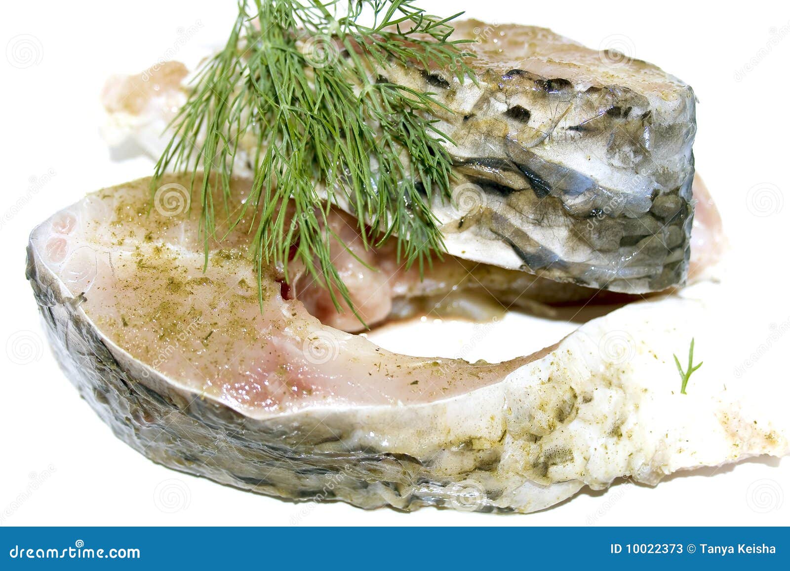 Fresh pieces of carp stock image. Image of fishes, dish - 10022373